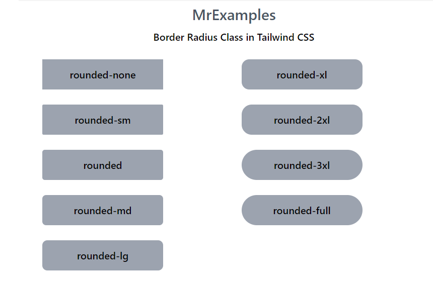 Css Tailwind Border And Border Radius Rounded Issue On Html Table Vrogue