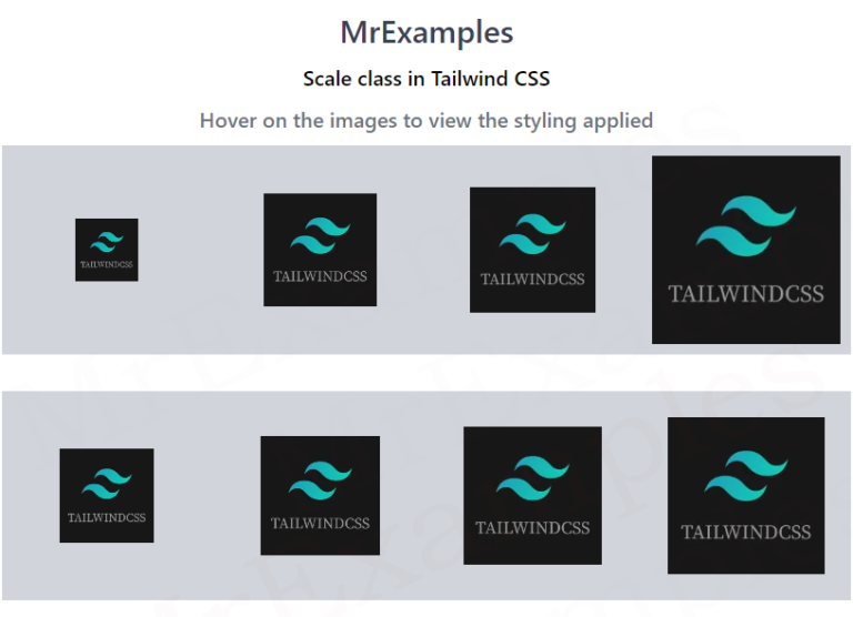 Tailwind Scale Mr Examples